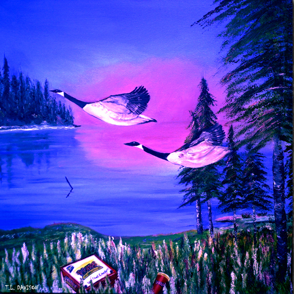 DIGITAL CAMERA – Gallery 1313