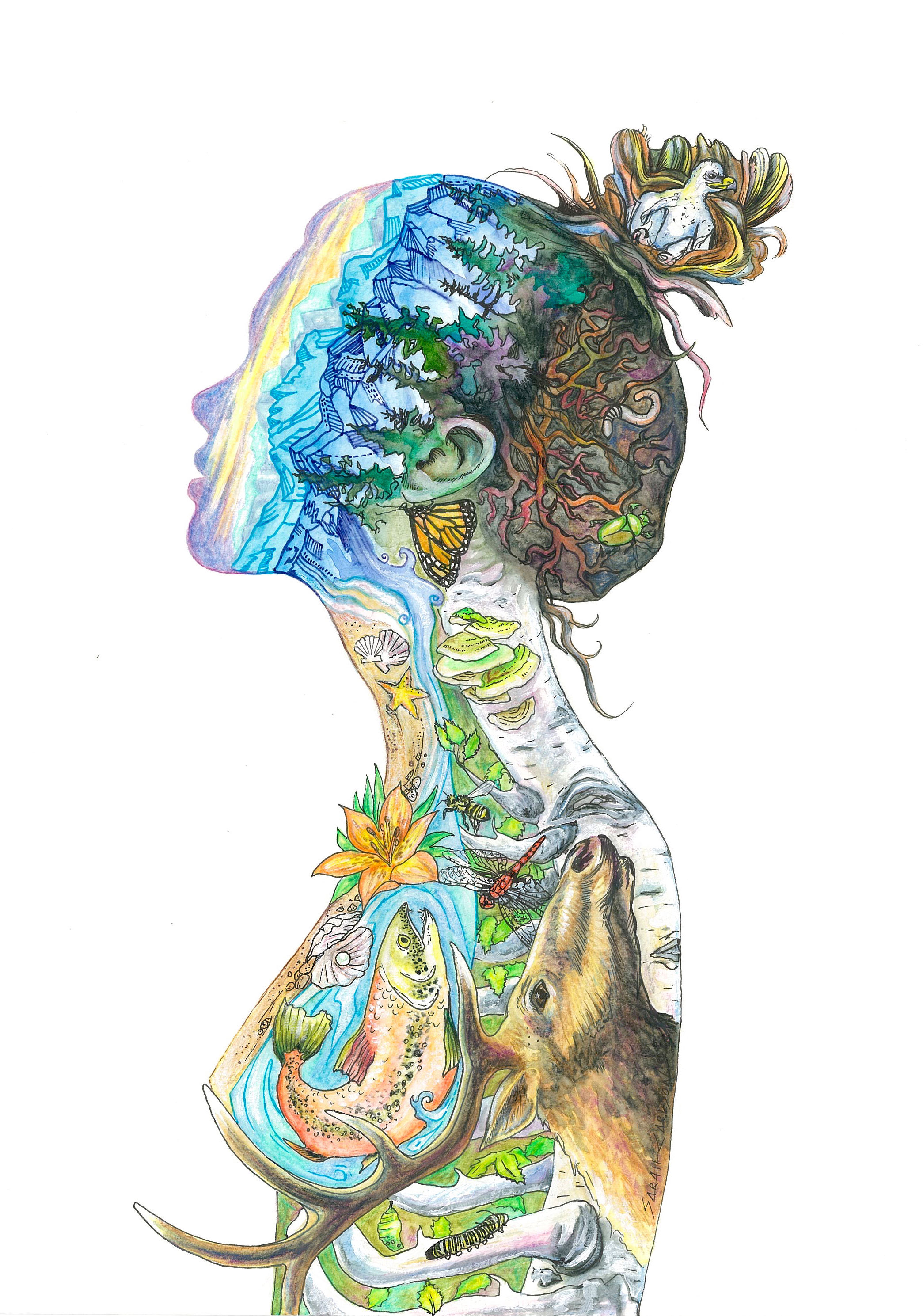 Sarah-Carlson_Biologique – Gallery 1313